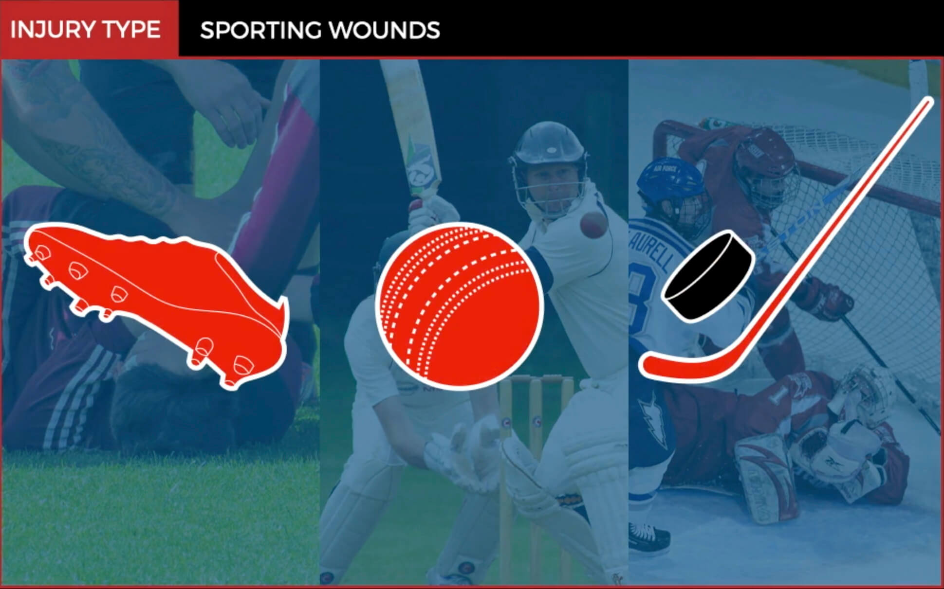 ABOUT HAEMOCAP MULTISITE